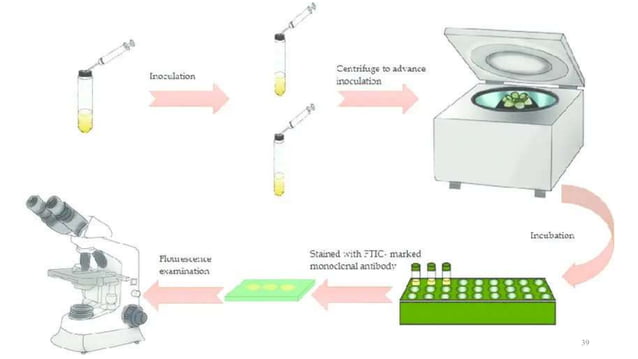 LABORATORY DIAGNOSIS OF VIRAL INFECTION.pptx