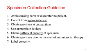 LABORATORY DIAGNOSIS OF VIRAL INFECTION.pptx