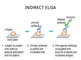 LABORATORY DIAGNOSIS OF VIRAL INFECTIONS.pptx