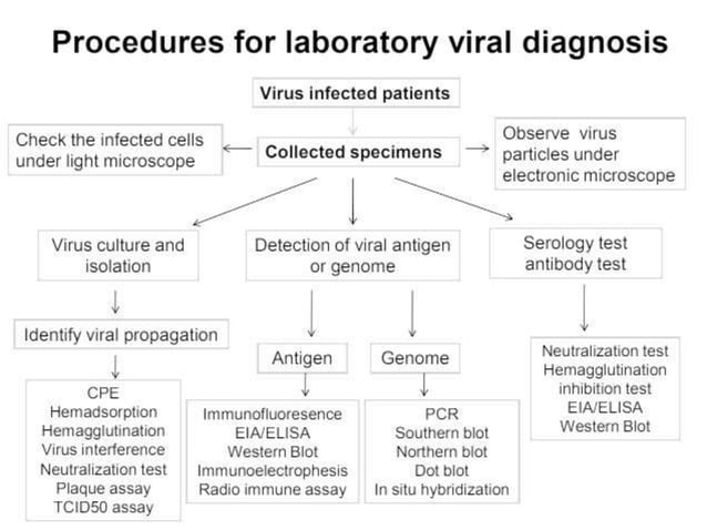 LABORATORY DIAGNOSIS OF VIRAL INFECTIONS.pptx