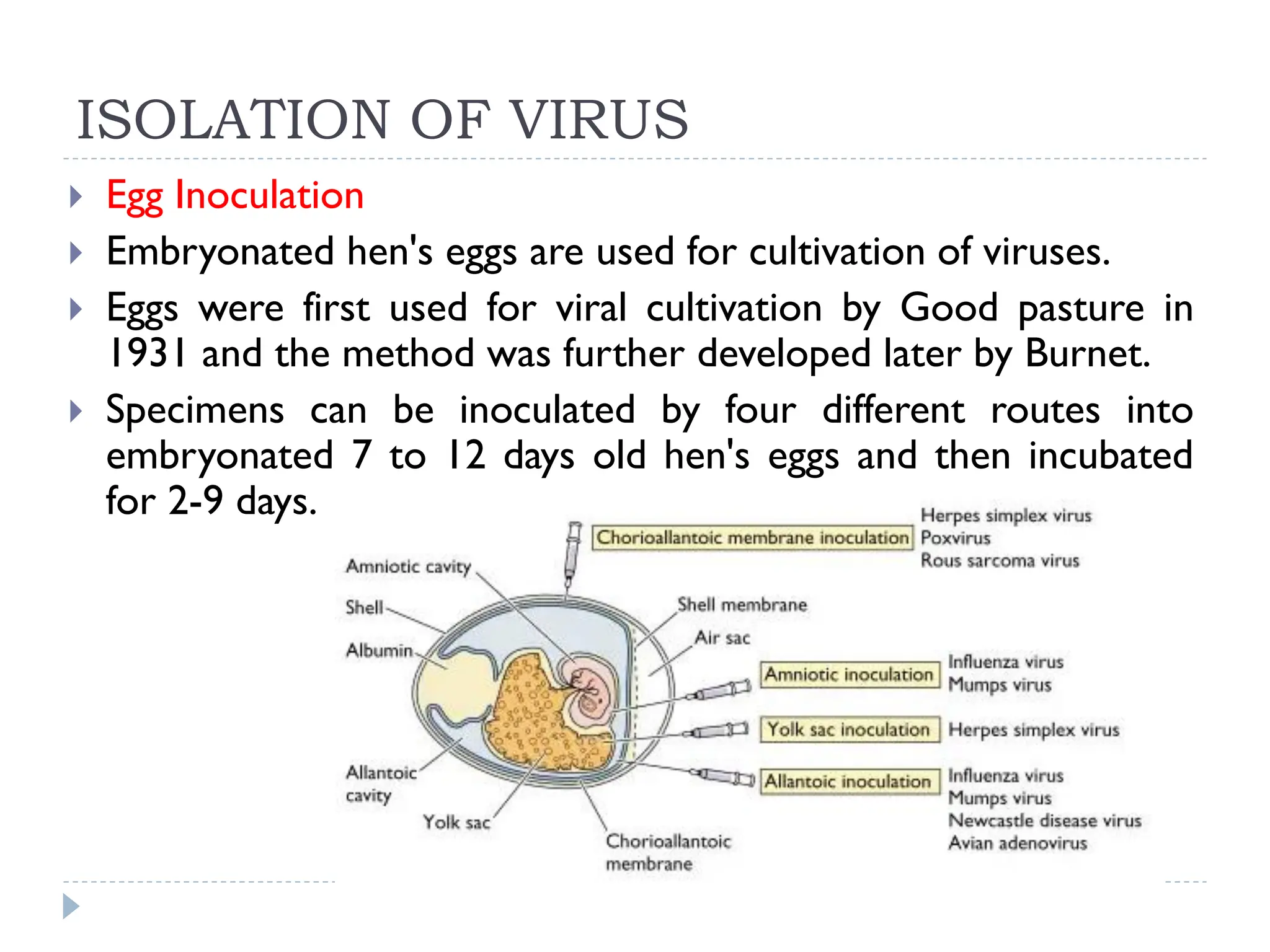 LABORATORY DIAGNOSIS OF VIRAL INFECTIONS.pdf