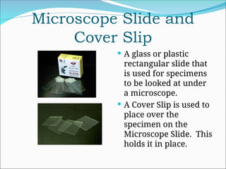 Science Laboratory Equipment PowerPoint ppt | PPT