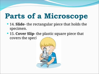 Science Laboratory Equipment PowerPoint ppt | PPT