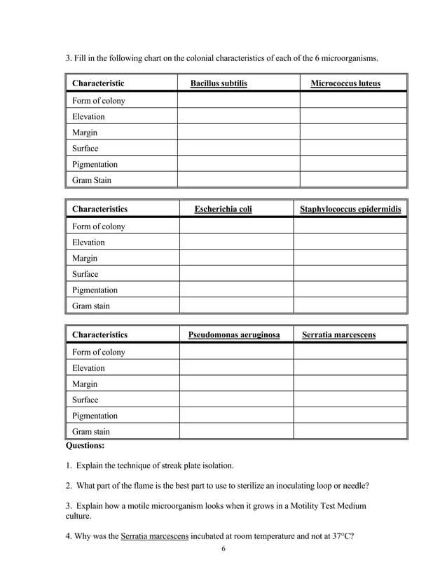 Laboratory exercise vii micro | PDF