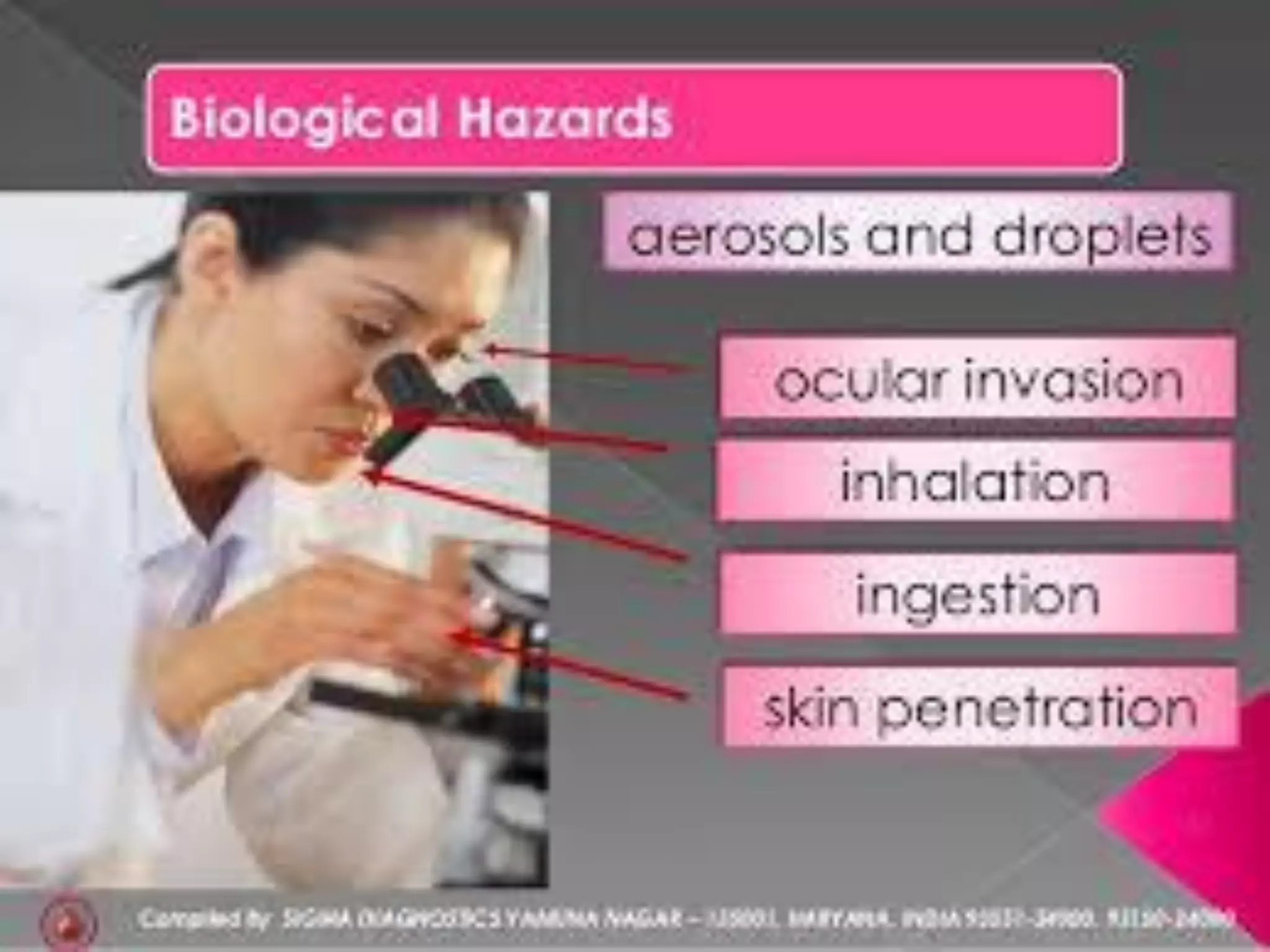 Laboratory hazards, safety and contamination | PDF