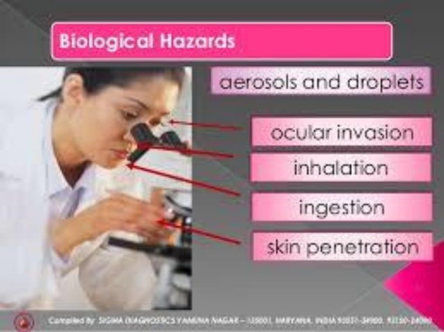 Laboratory hazards, safety and contamination | PDF