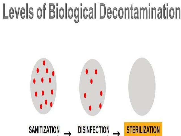 Laboratory hazards, safety and contamination | PDF