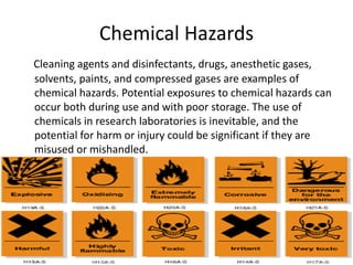 Laboratory hazards, safety and contamination | PDF