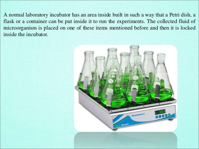 Laboratory Incubator in Singapore | PPT