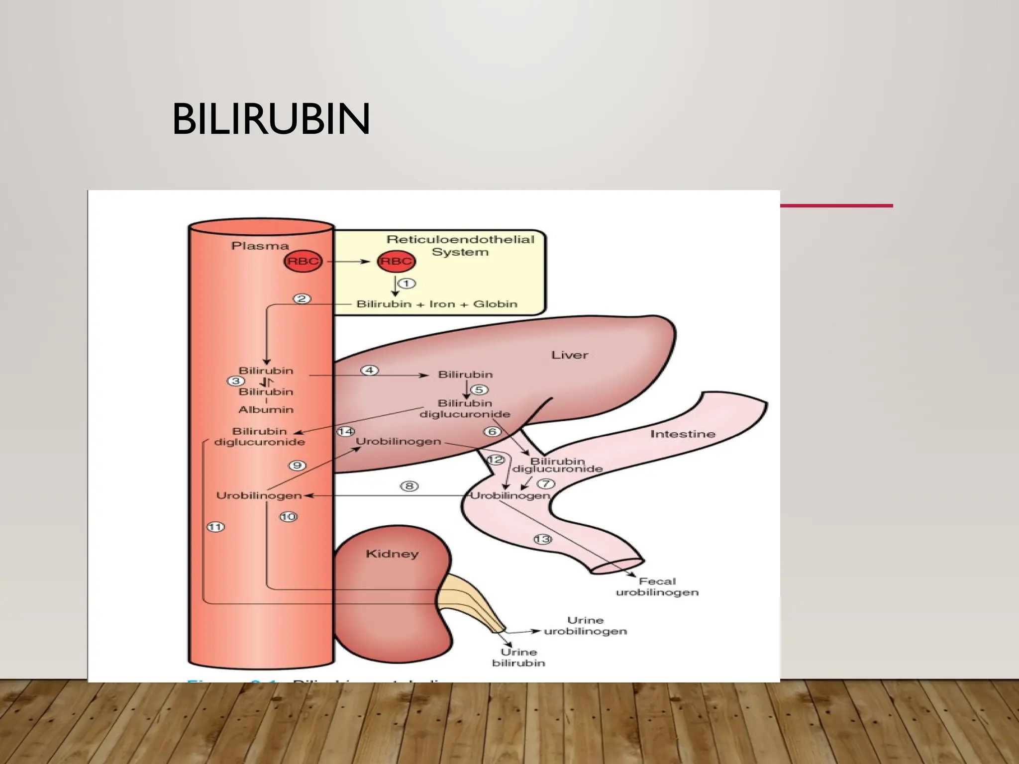 laboratory investigationS -LFT& RFT.pptx