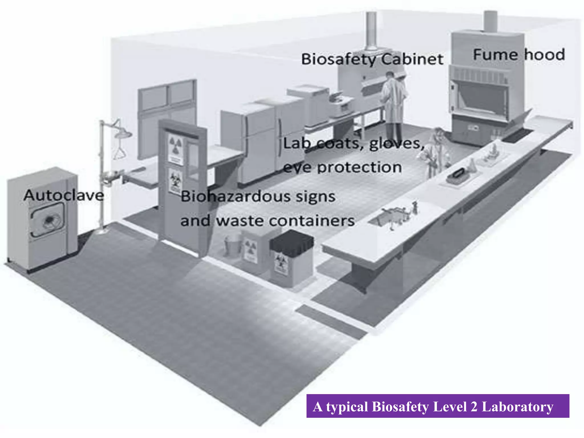 Laboratory oranization and biosafety requirements of microbiology laboratory | PPT