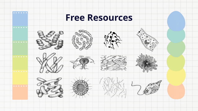 Laboratory practice Microbxiology presentation in pastel colors sketch ...
