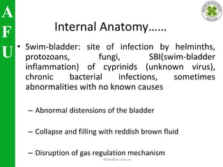 Laboratory procedure for disease diagnosis.pdf