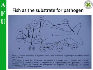 Laboratory procedure for disease diagnosis.pdf