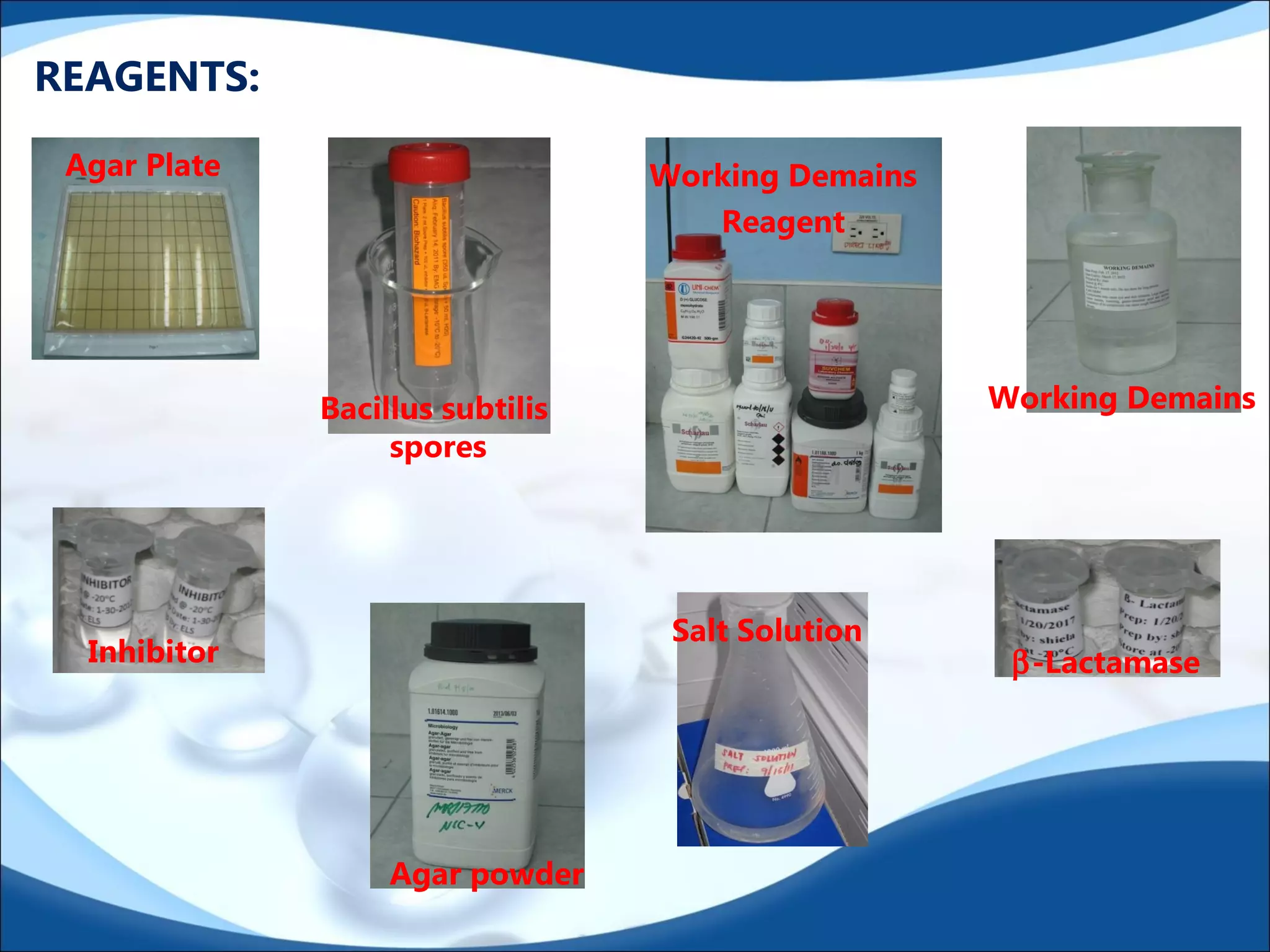 Laboratory procedure of bacterial inhibition assay | PPT