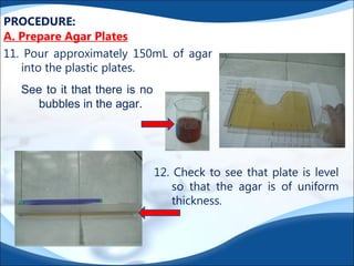 Laboratory procedure of bacterial inhibition assay | PPT