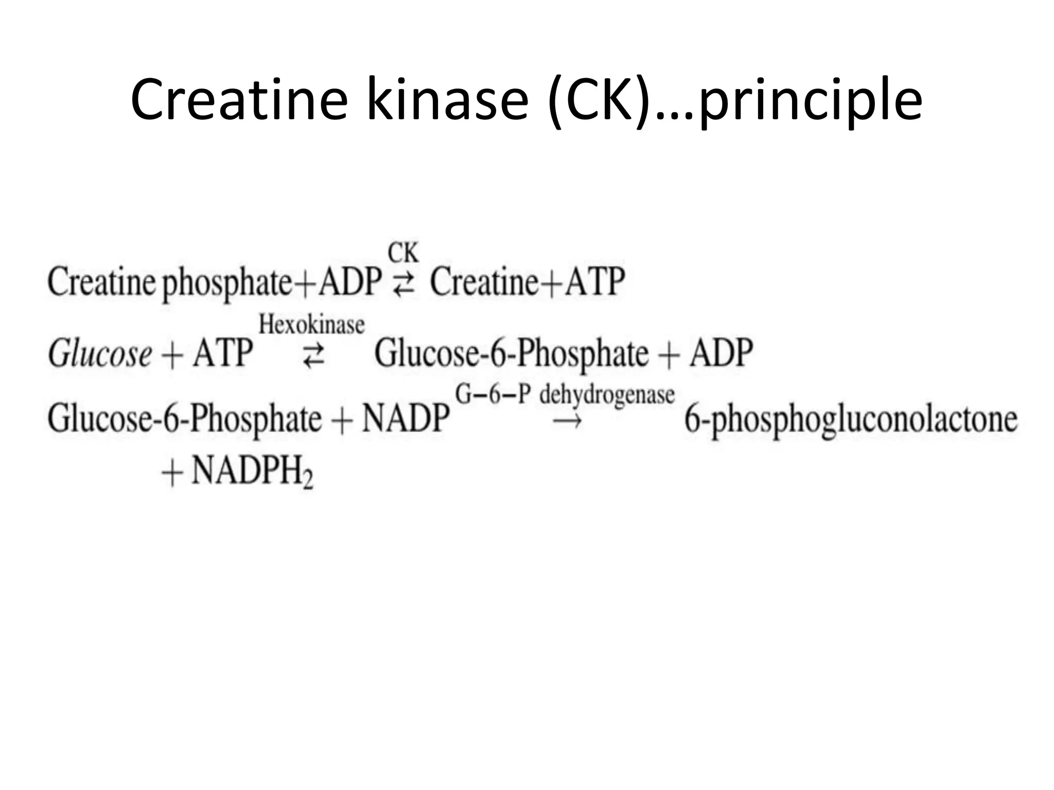 Laboratory procedures.pptx