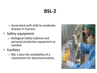 laboratorysafety-151021173712-lva1-app6891.pdf