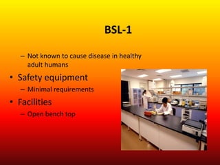 laboratorysafety-151021173712-lva1-app6891.pptx