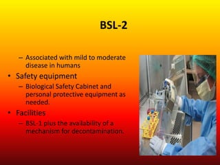 laboratorysafety-151021173712-lva1-app6891.pptx
