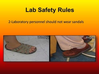 laboratorysafety-151021173712-lva1-app6891.pptx