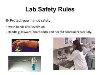 Science Safety Rules Powerpoint
