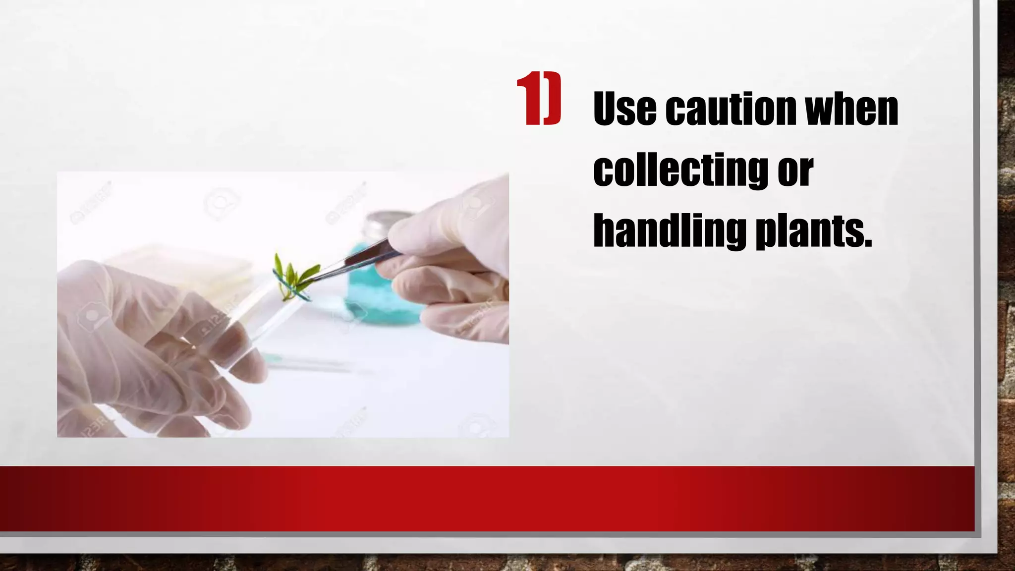 Laboratory safety | PPTX | First Aid | Injuries