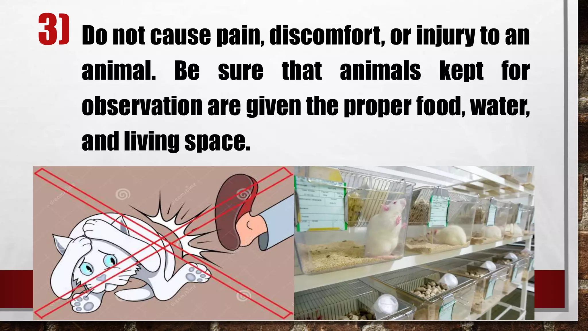 Laboratory safety | PPTX | First Aid | Injuries