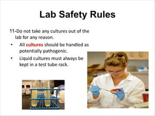 POWERPOINT FOR LABORATORY SAFETY MED TECH | PDF