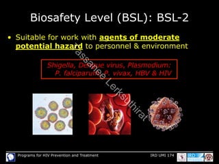 Laboratory safety | PDF