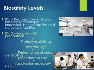 Safety rules in clinical or research laboratory | PPT