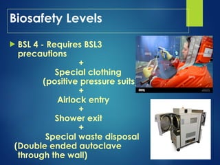 Safety rules in clinical or research laboratory | PPT