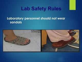 Safety rules in clinical or research laboratory | PPT