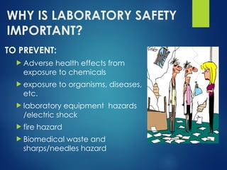 Safety rules in clinical or research laboratory | PPT