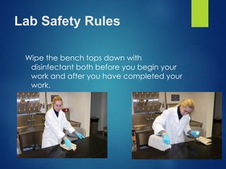 Safety rules in clinical or research laboratory | PPT