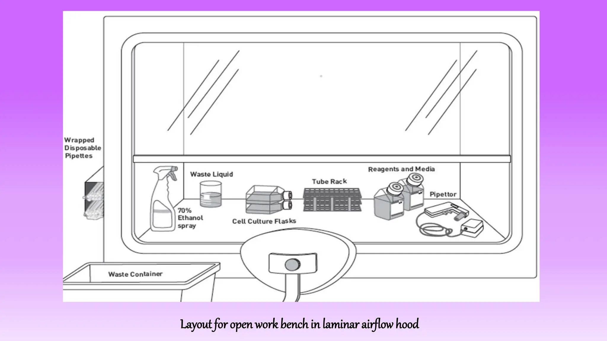 LABORATORY SETUP OF A CELL CULTURE LAB | PPTX