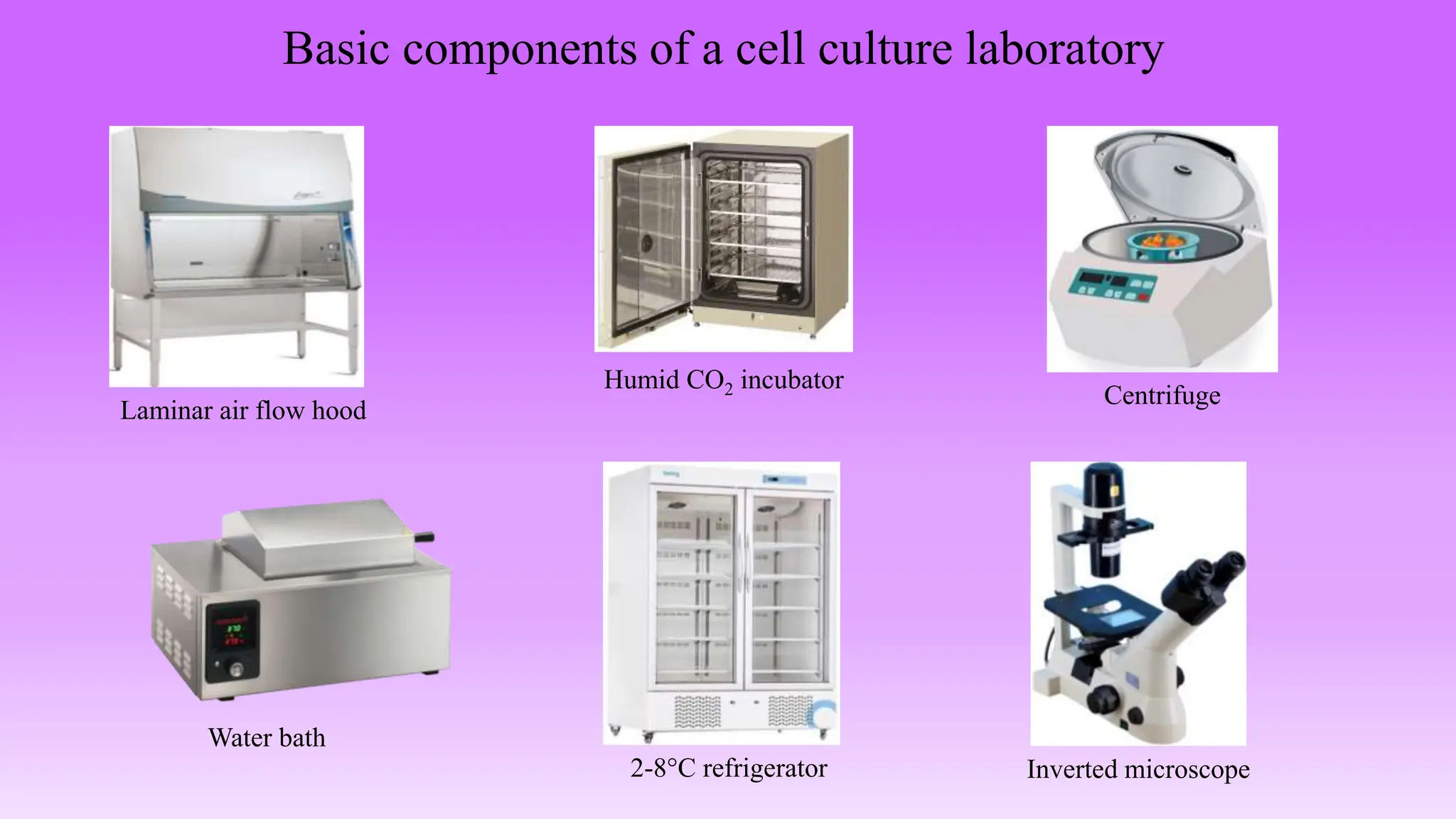 LABORATORY SETUP OF A CELL CULTURE LAB | PPTX
