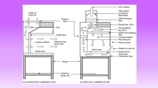 LABORATORY SETUP OF A CELL CULTURE LAB | PPTX | Biotech and Biomedical ...