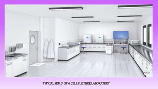 LABORATORY SETUP OF A CELL CULTURE LAB | PPTX