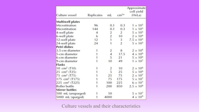 LABORATORY SETUP OF A CELL CULTURE LAB | PPTX | Biotech and Biomedical ...