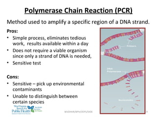 Laboratory testing | PPT