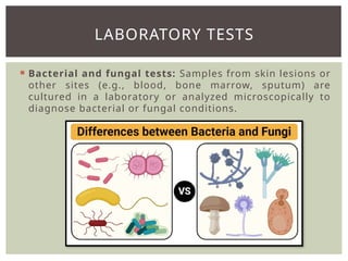LABORATORY TESTS PART I 2021-1. LABORATORIO TESTpptx | PPT