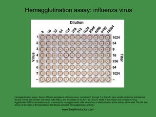 Laboratory Virology | PPT