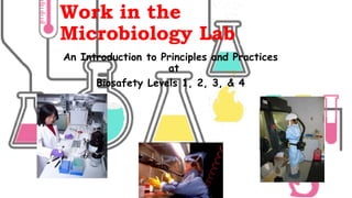Laboratory work, symptoms and specimen collecting | PPTX