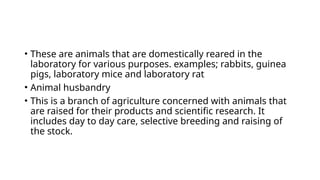 LABORATOTY ANIMALS AND EXAMPLES OF THE ANIMALSpptx | PPTX