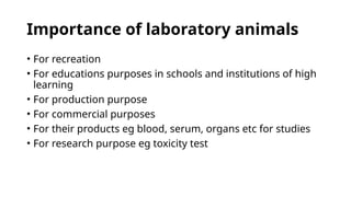 LABORATOTY ANIMALS AND EXAMPLES OF THE ANIMALSpptx | PPTX