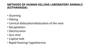 LABORATOTY ANIMALS AND EXAMPLES OF THE ANIMALSpptx | PPTX