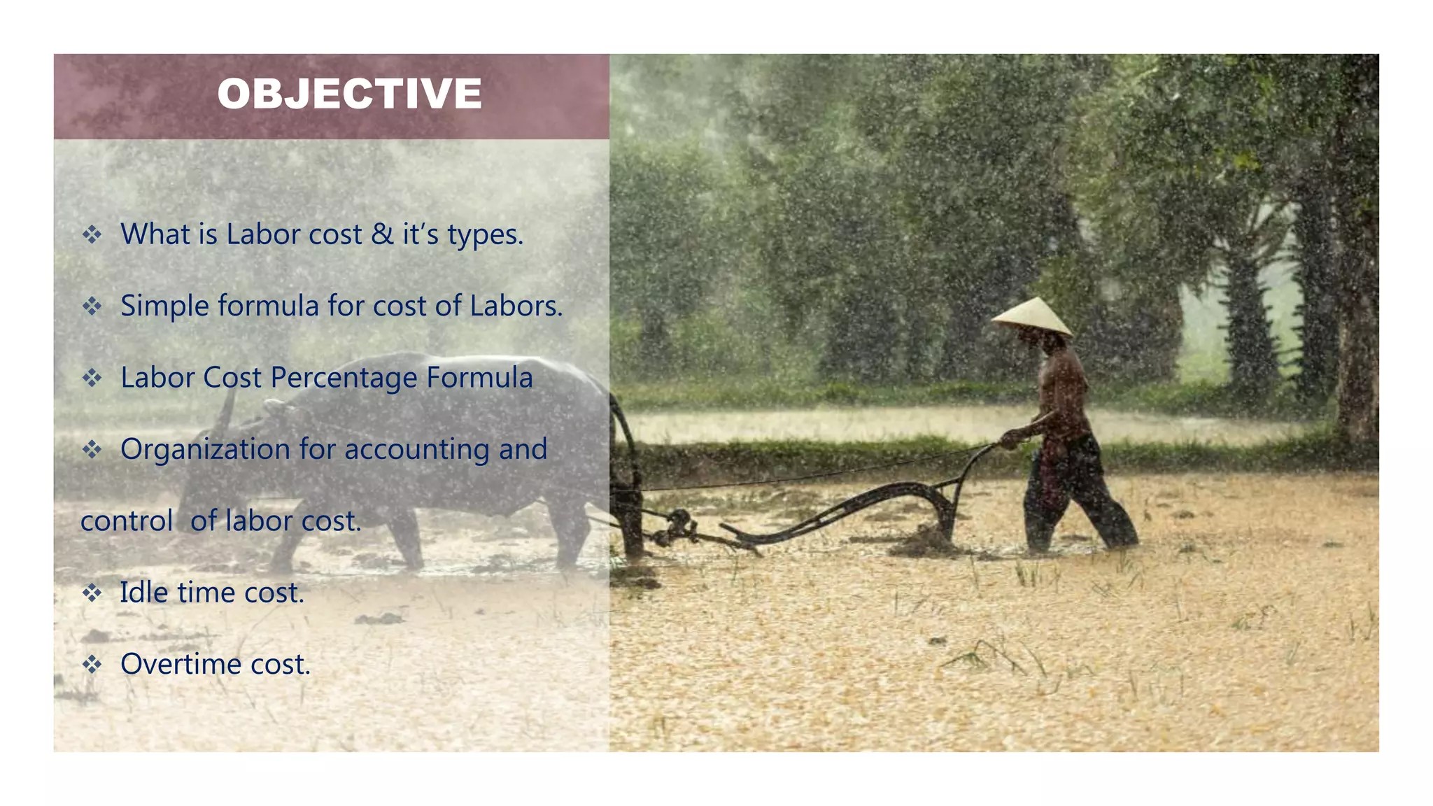 Presentation Slide on Labor cost | PPTX