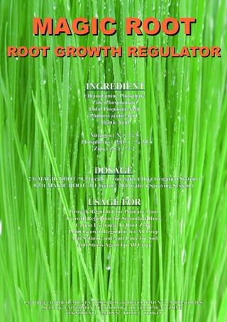 Laborge magic root back | PDF