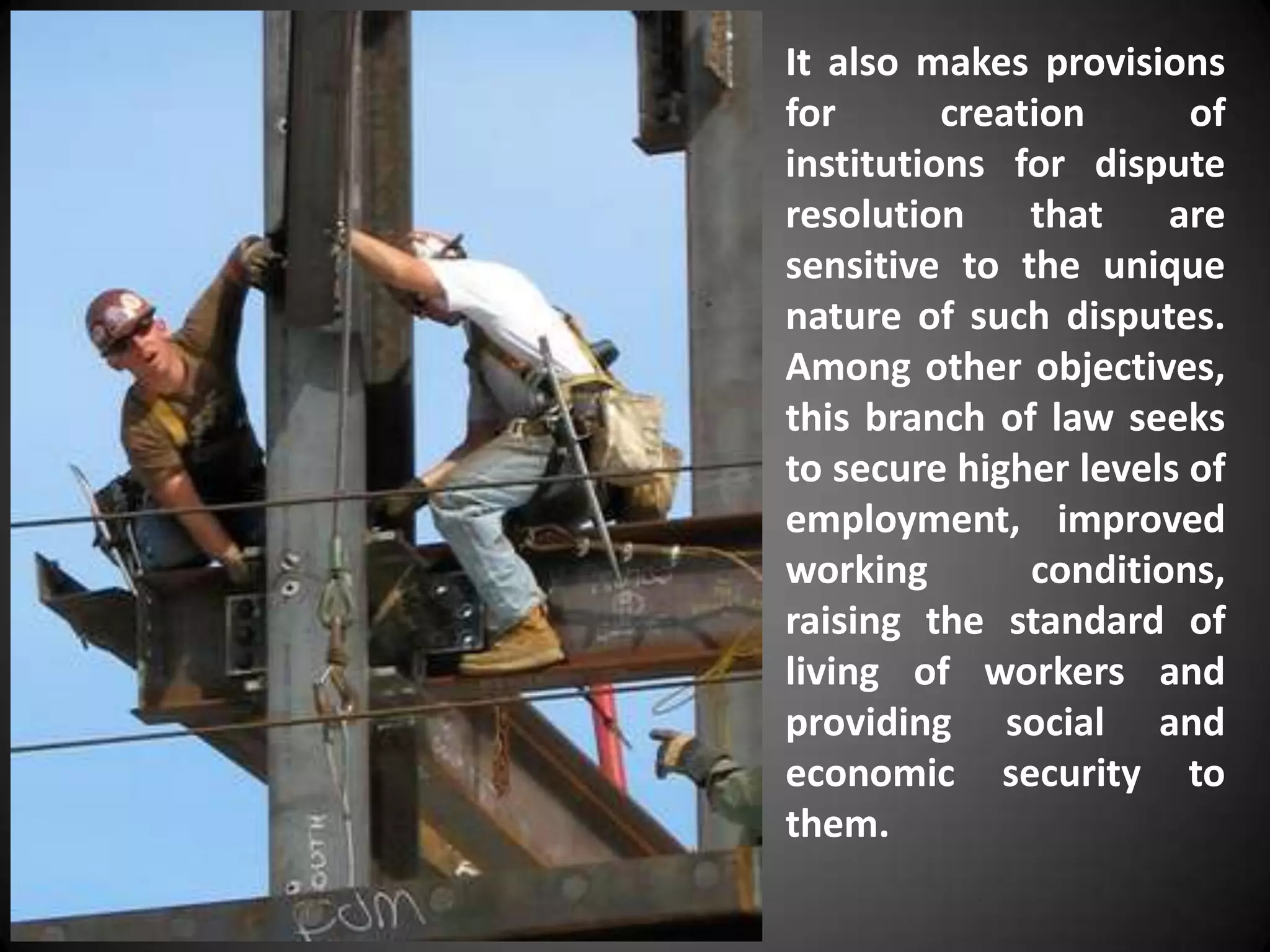 The Labor law | PPTX